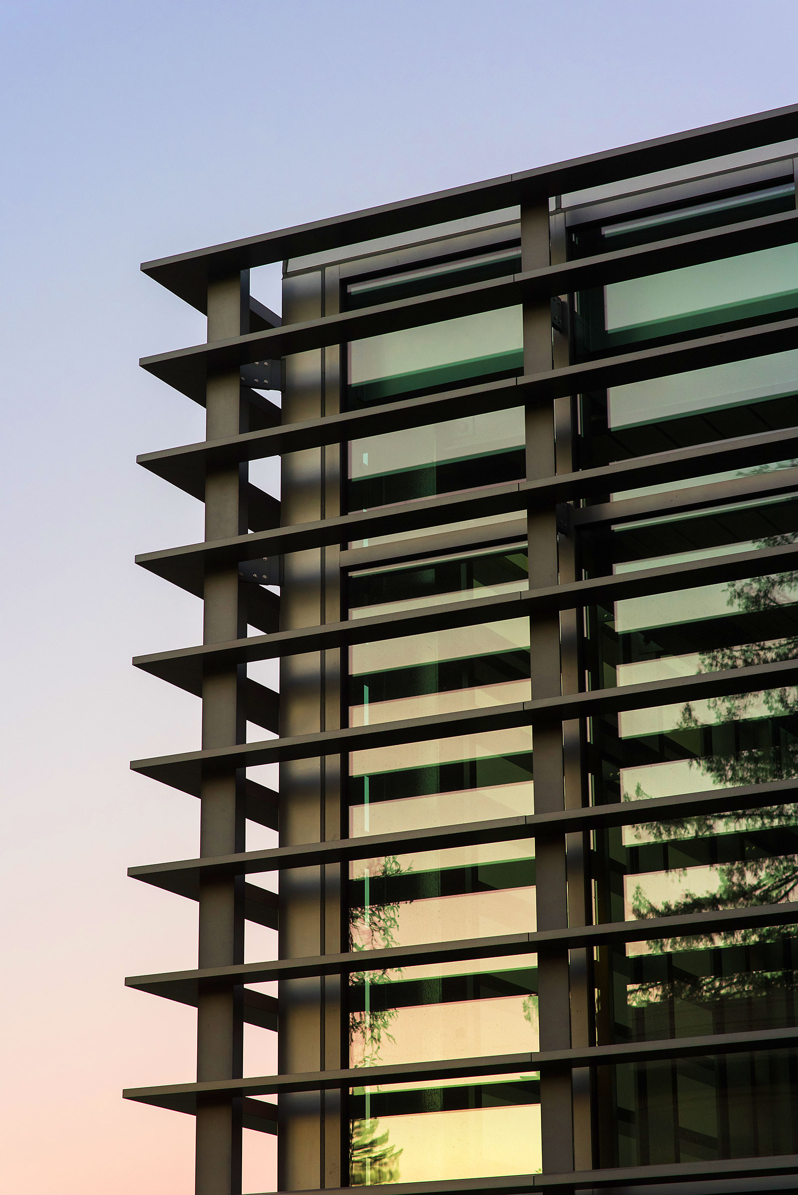 ContEd-Picture | AGS